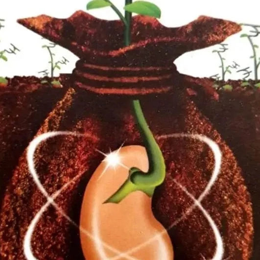 Neem Cake (Neem Khali) Powder 1kg – Vedonic