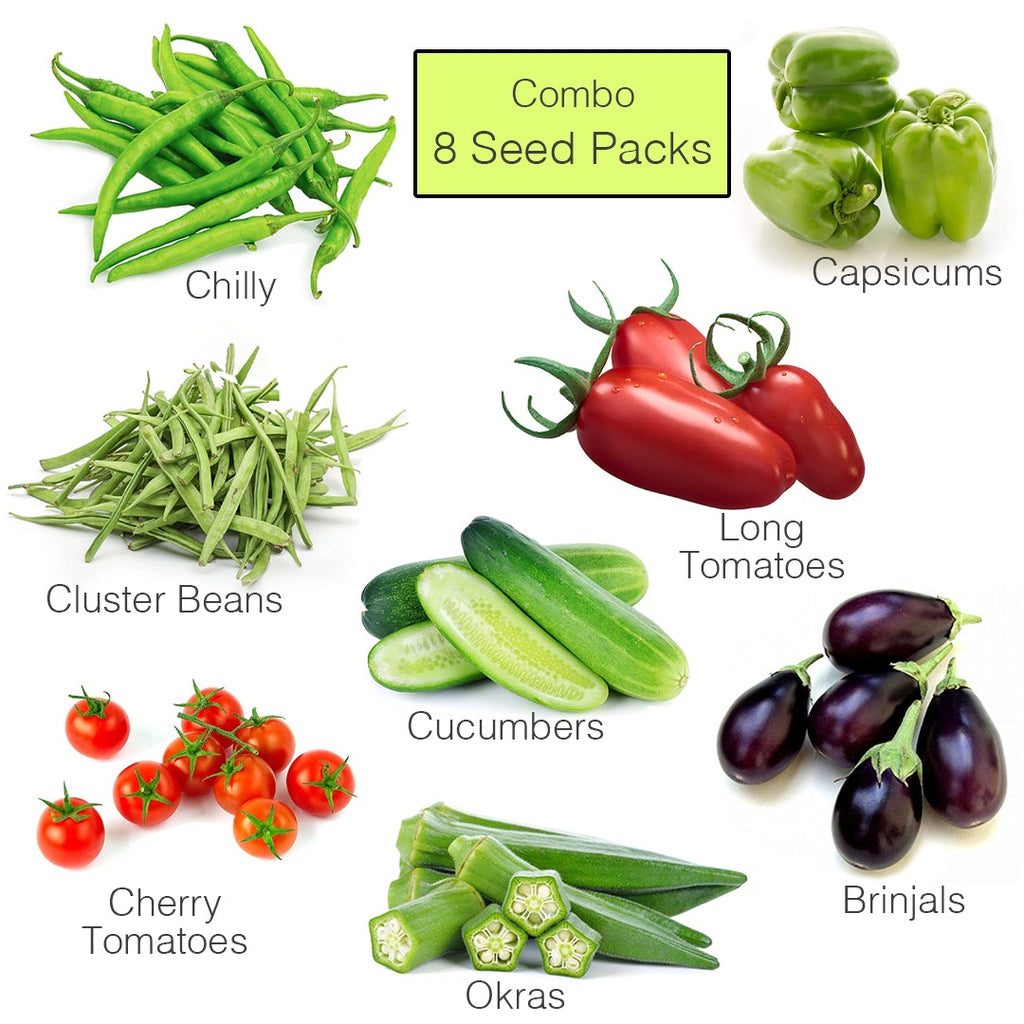 Buy Seeds Online - Starter Vegetables Seeds - 8 Types – Vedonic