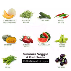 Summer fruits and vegetables store