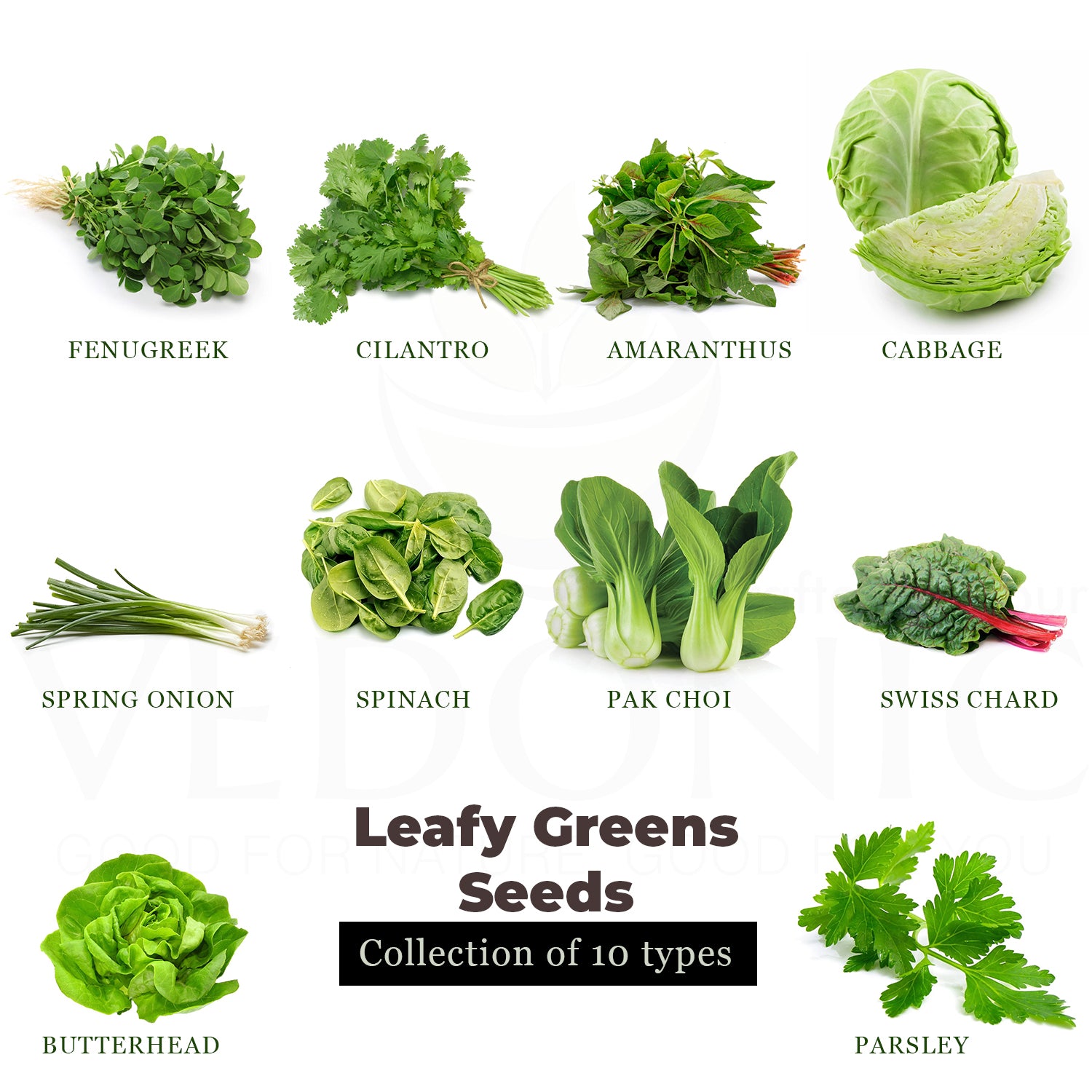 Green Leafy Vegetables Names