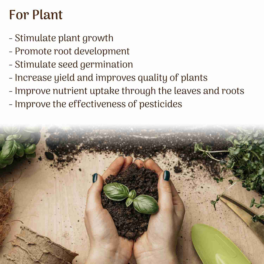 Buy Humex - All Purpose Organic Fertilizer (Dry) Online | Garden Supply ...